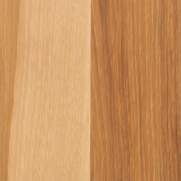 Hickory